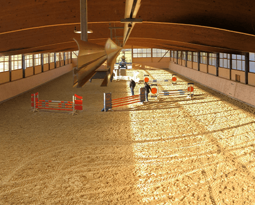 Sound in a horse-riding hall – a challenge for human and animal